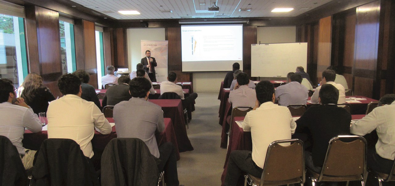 Pararrayos poliméricos: Menos mantenimiento y más seguridad en caso de ...