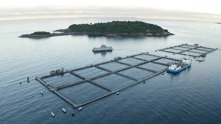 Energy efficient ABB electric propulsion system saves fuel and cuts ...