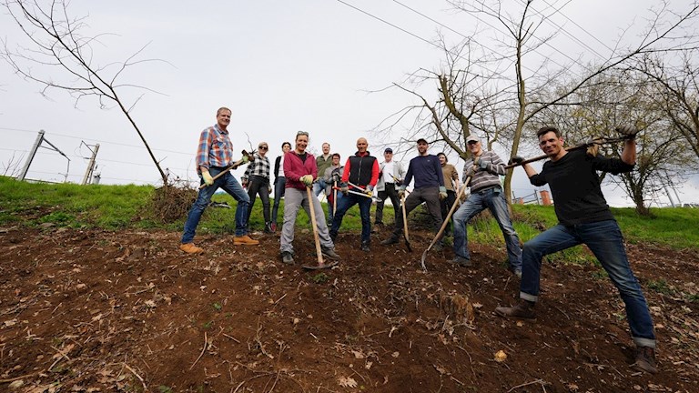Volunteer Day: Management-Team von ABB Schweiz leistete dornenvolle Freiwilligenarbeit | News center