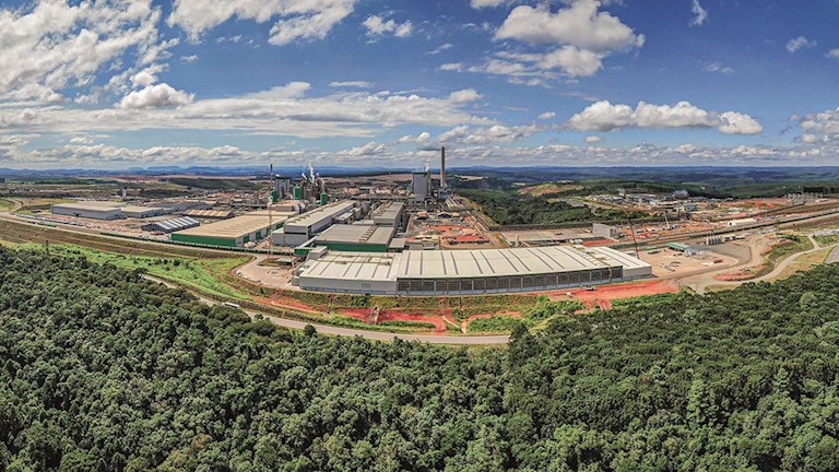 Driving sustainability in Brazil’s pulp and paper industry | News ...